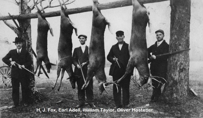Fox, HJ-Adell, Earl-Taylor, Wm-Hostetler, Oliver hunting – PIGEON ...